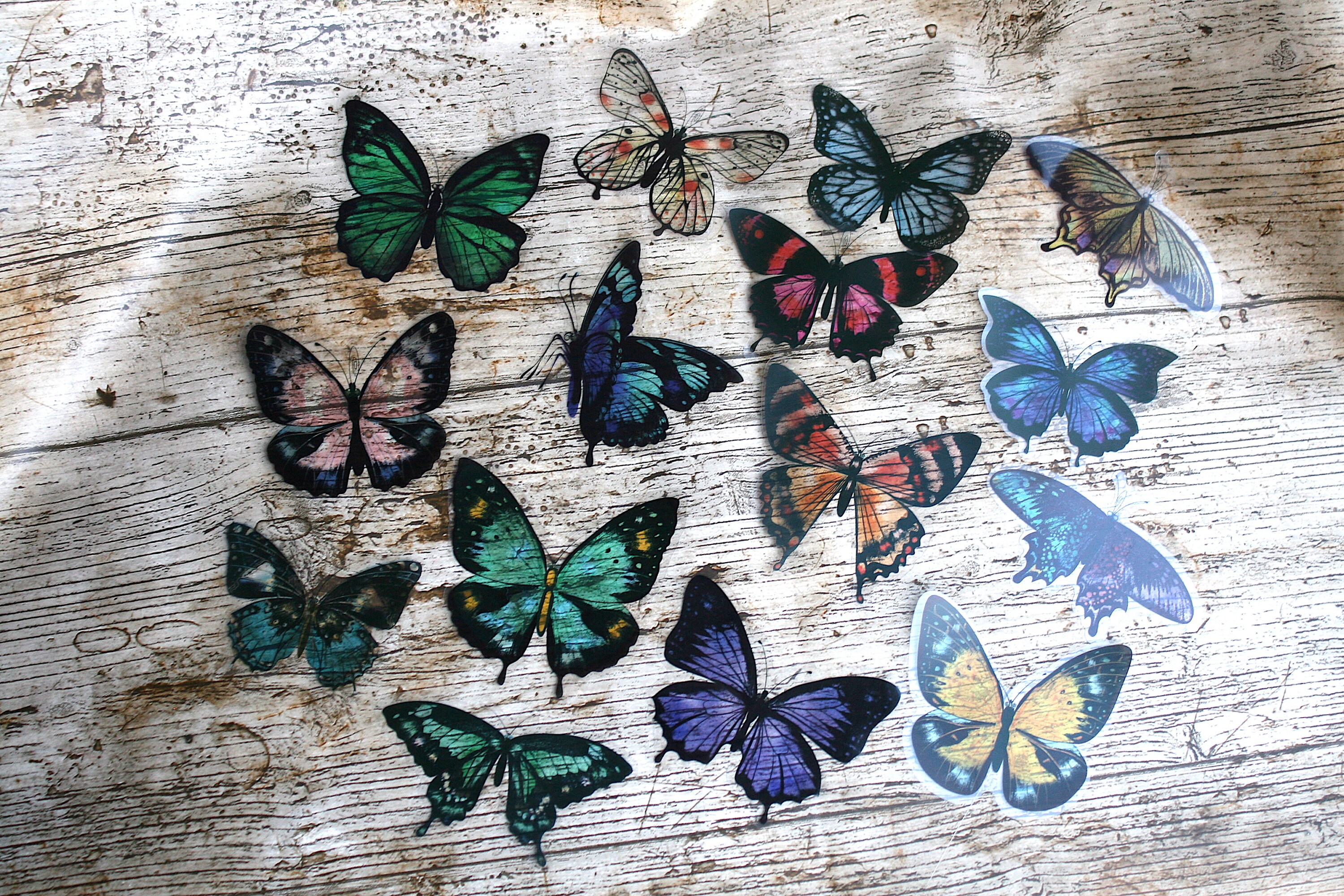 14 Butterfly Decals Butterflies Butterfly Scrapbooking | Etsy
