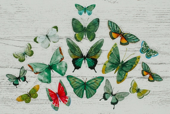 Craft supplies Scrapbooking resin mould inserts green butterflies ...