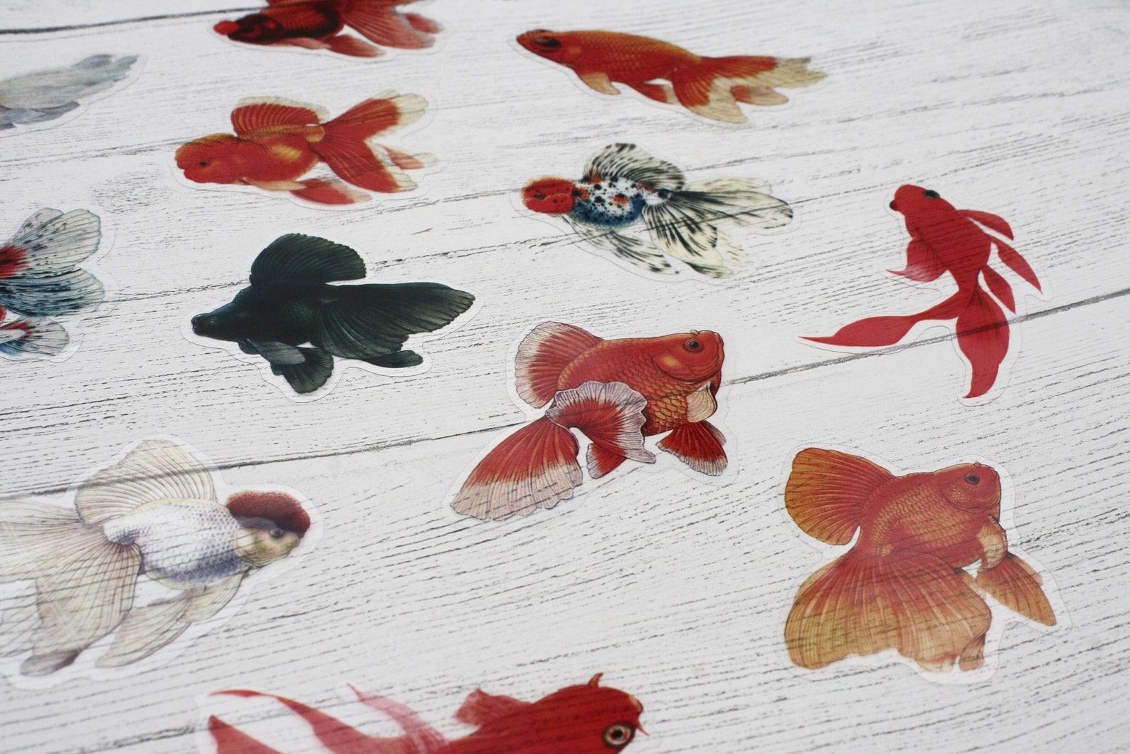 15 Goldfish Decal Red White Black Goldfish Scrapbooking - Etsy