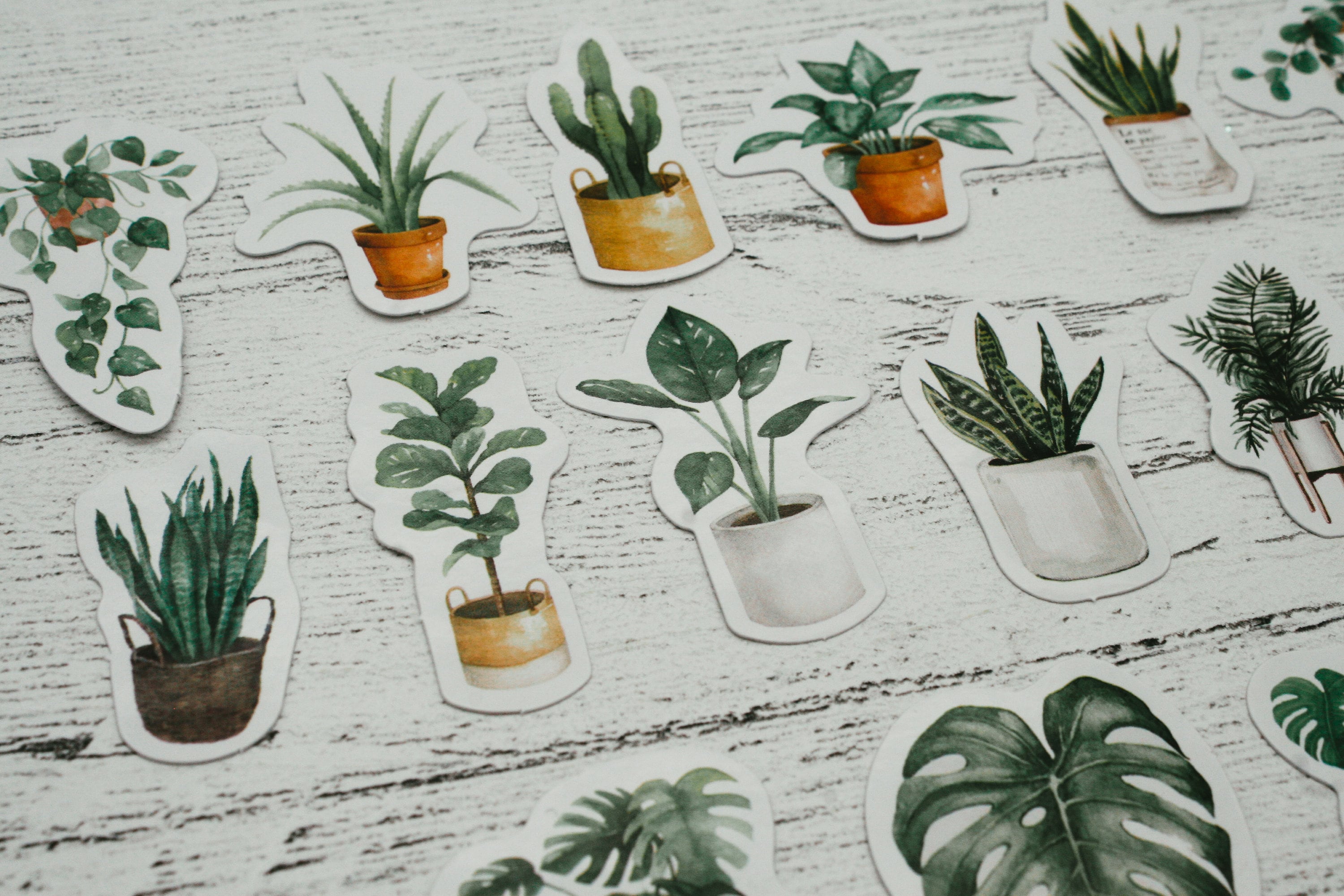 15 Plant Stickers, Monstera, Sticker, Stamp, Green Stickers, Craft ...