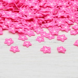 10g Pink Starfish Fimo Slices, Resin Art, Slime, Resin Craft Supplies ...