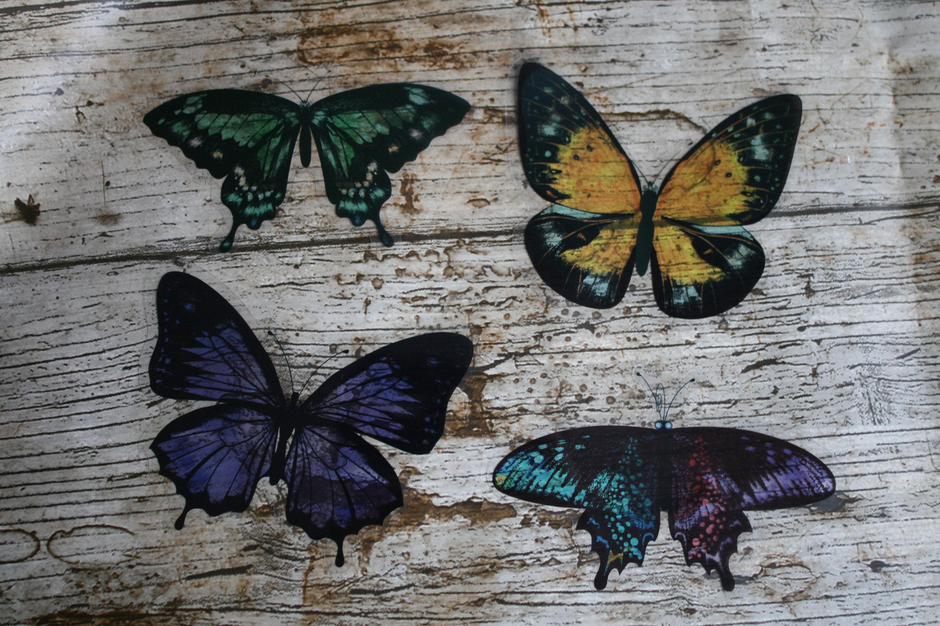 14 Butterfly Decals Butterflies Butterfly Scrapbooking | Etsy