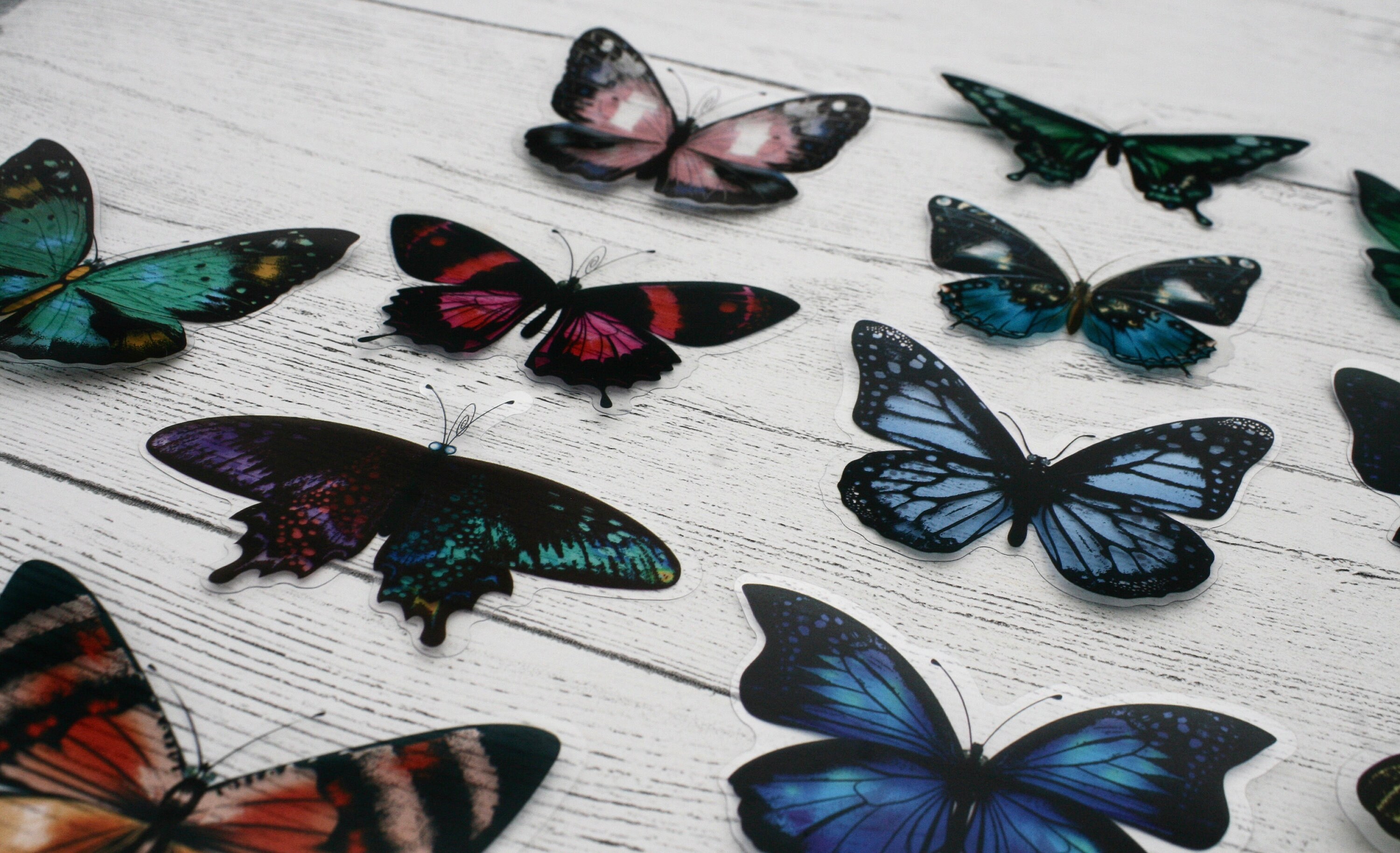 14 Butterfly Decals Butterflies Butterfly Scrapbooking | Etsy