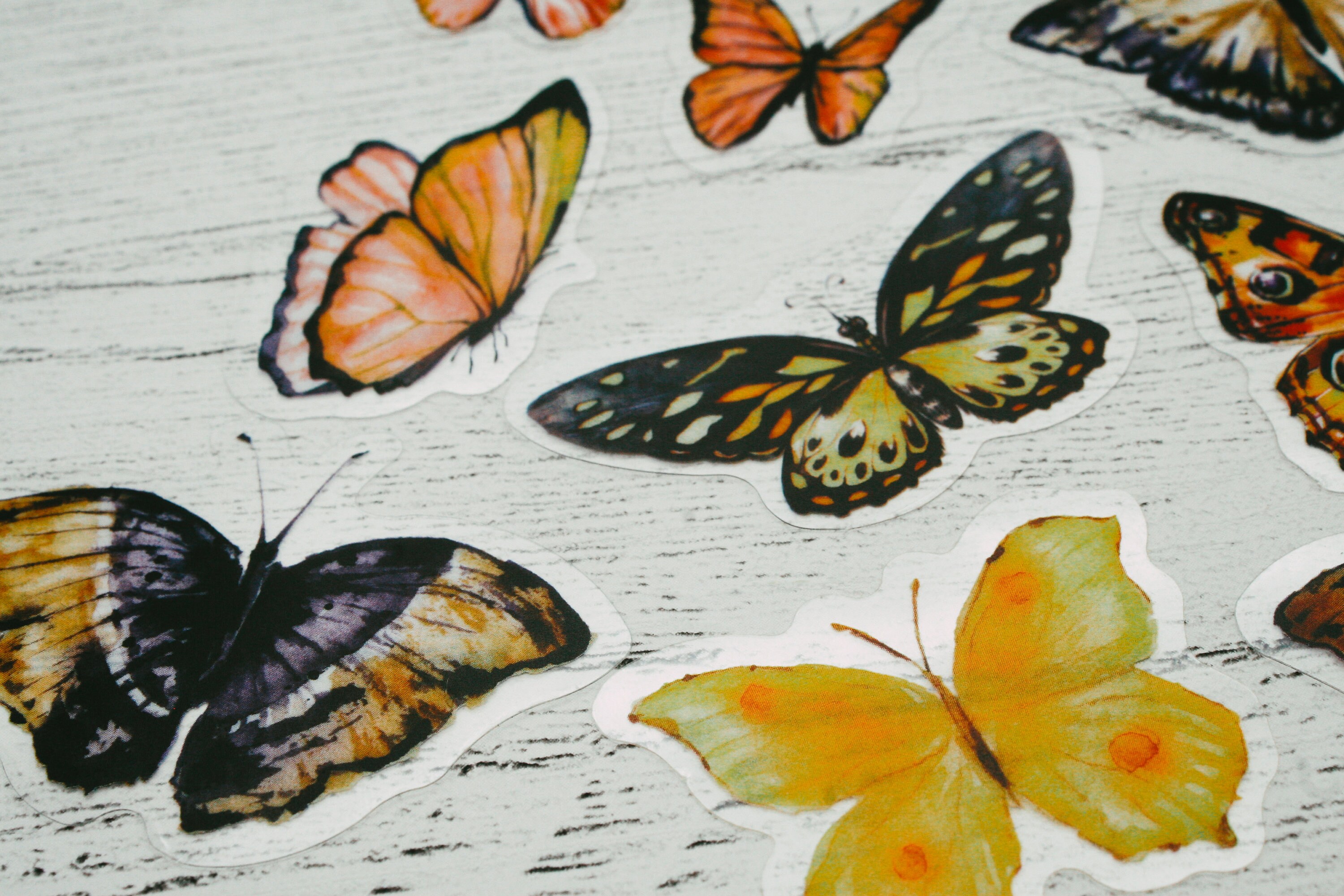 20 Butterfly Decals Butterflies Butterfly Scrapbooking | Etsy