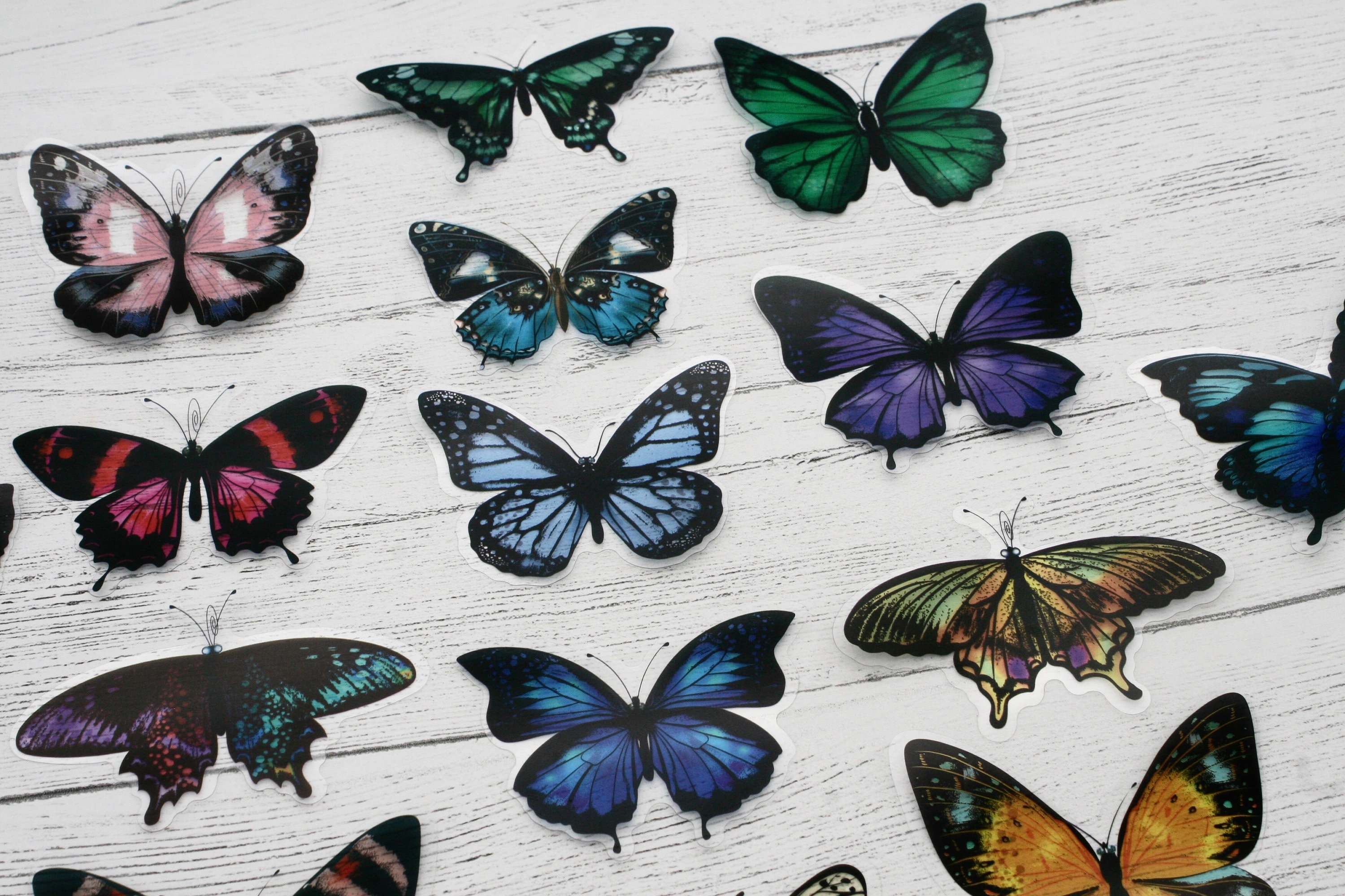 14 Butterfly Decals Butterflies Butterfly Scrapbooking | Etsy