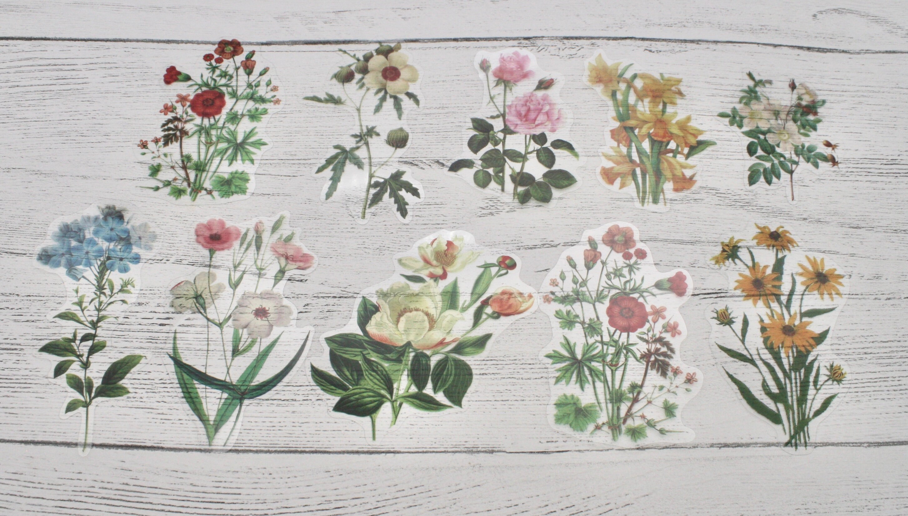 10 Flower Decals Spring Flowers Decals Colourful Flower | Etsy