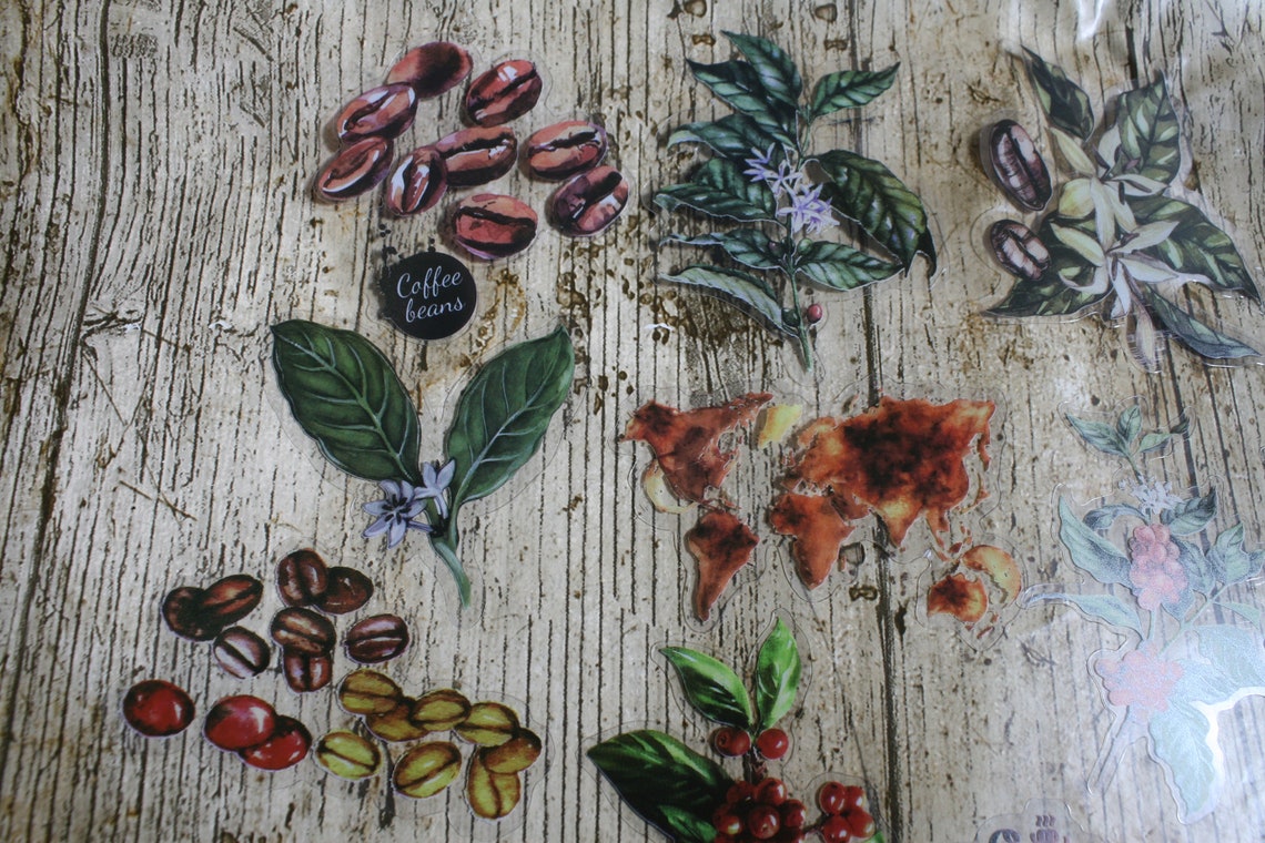 15 Coffee Bean Plants Decal Coffee bean bean plants | Etsy