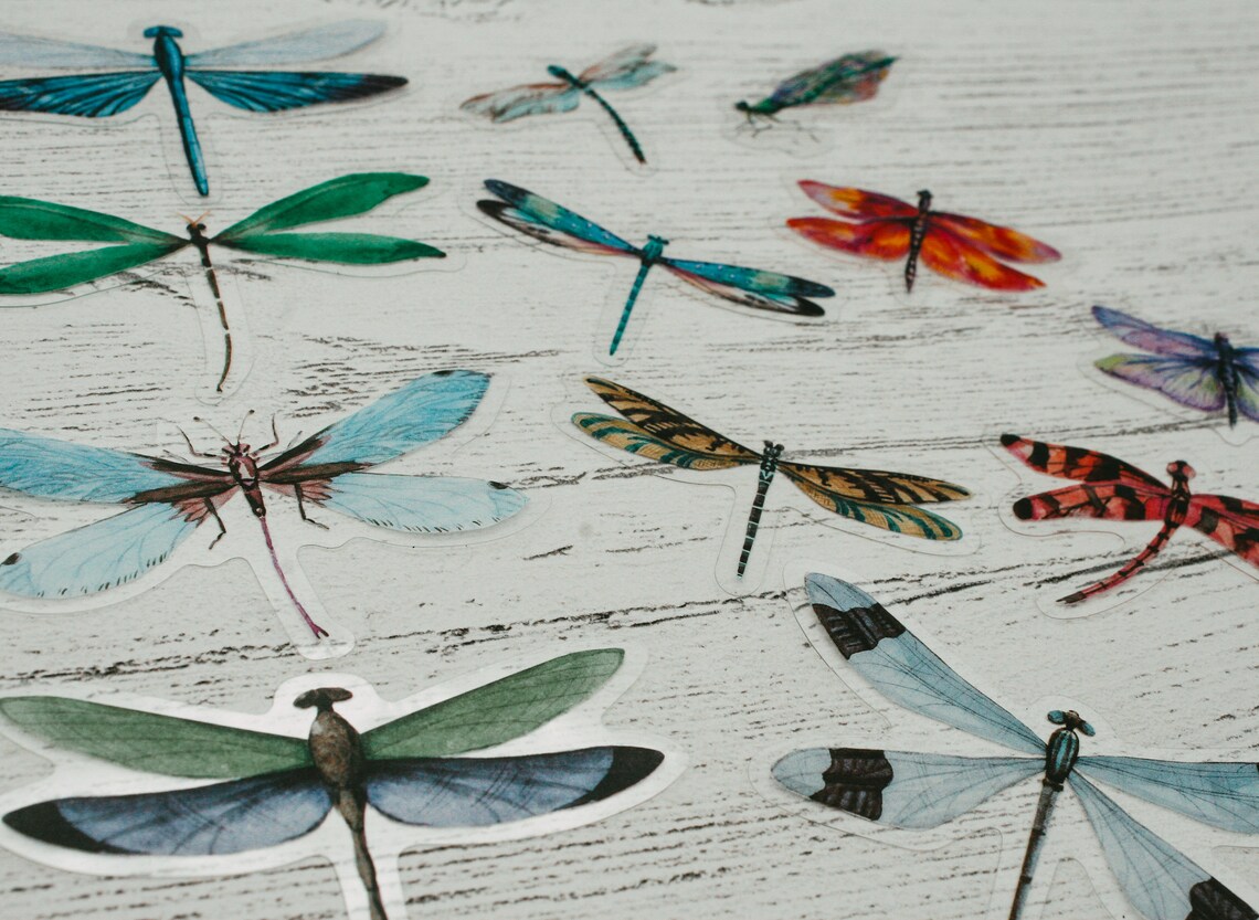 19 Dragonfly Decals Dragonflies Scrapbooking Resin Decals - Etsy