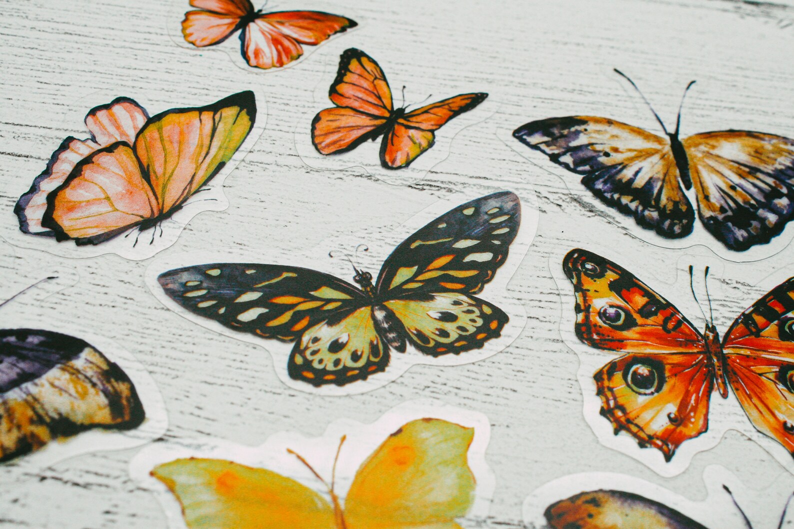 20 Butterfly Decals Butterflies Butterfly Scrapbooking | Etsy
