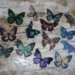 14 Butterfly Decals Butterflies Butterfly Scrapbooking | Etsy