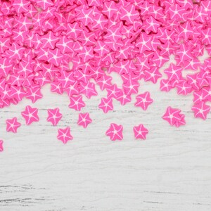 10g Pink Starfish Fimo Slices, Resin Art, Slime, Resin Craft Supplies ...