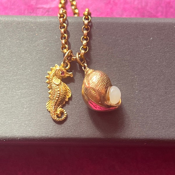 Periwinkle Shell - Etsy