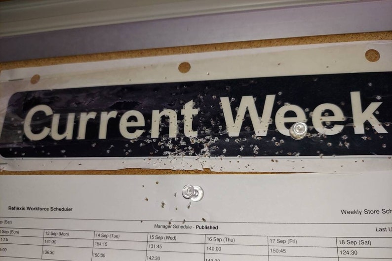 Uniweb Rx Shelving Compatible Ticket Holder Schedule Holder Bulletin ...