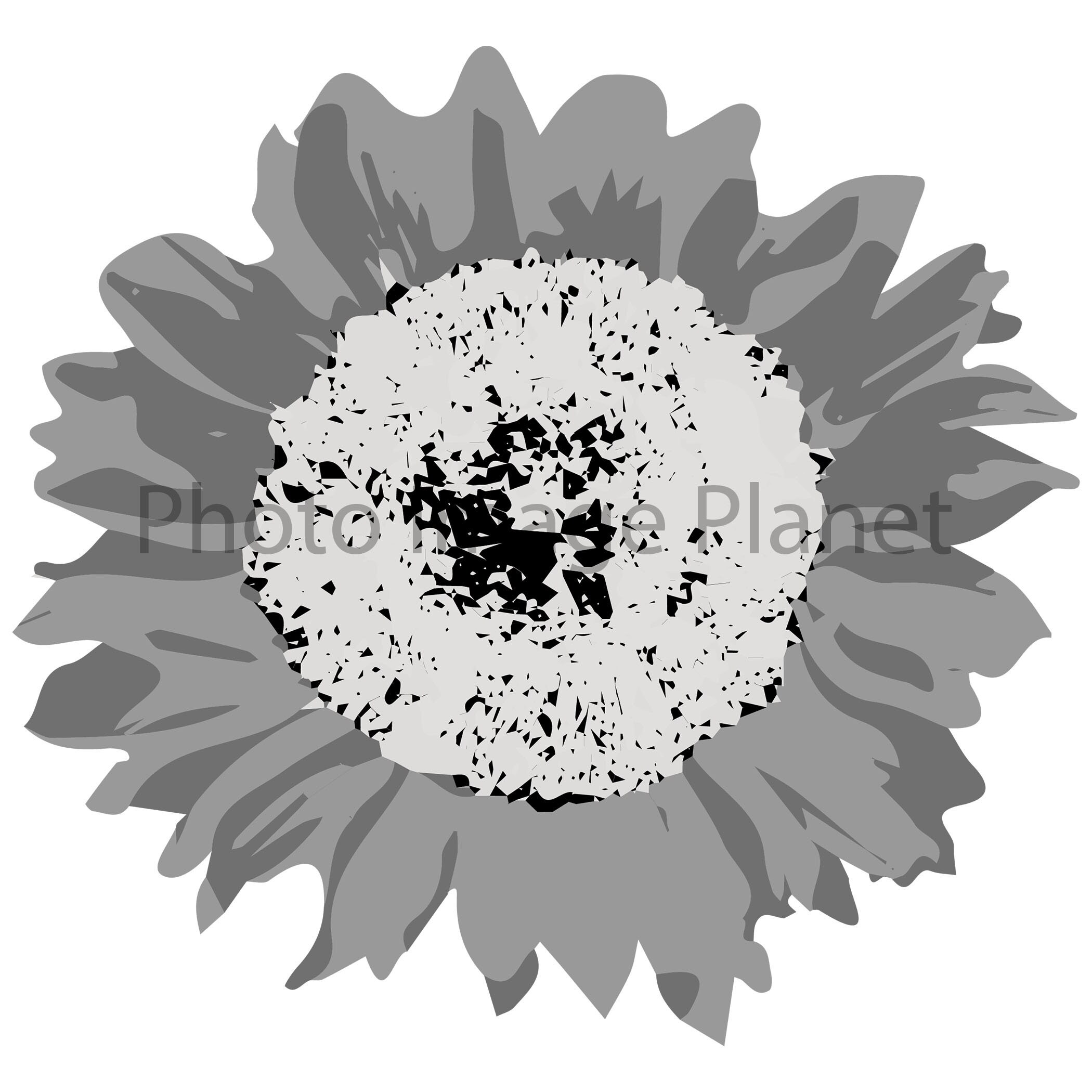Sunflower Svg Vector Artwork, Svg Bundle of Six Sunflower Artwork ...