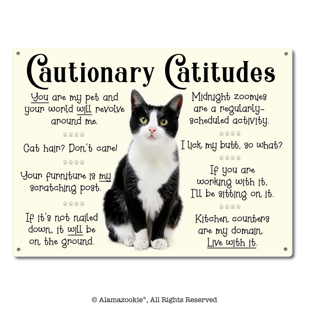 Cautionary Catitudes | Metal Sign | Funny Cat Meme Wall Decor for Catio ...
