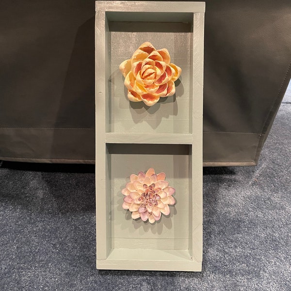 Shell Shadow Box - Etsy