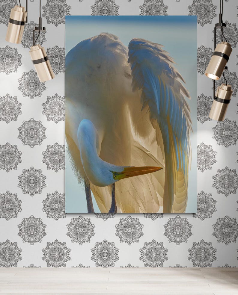 Preening Egret Art With Full Breeding Colors - Unique Nature Piece ...