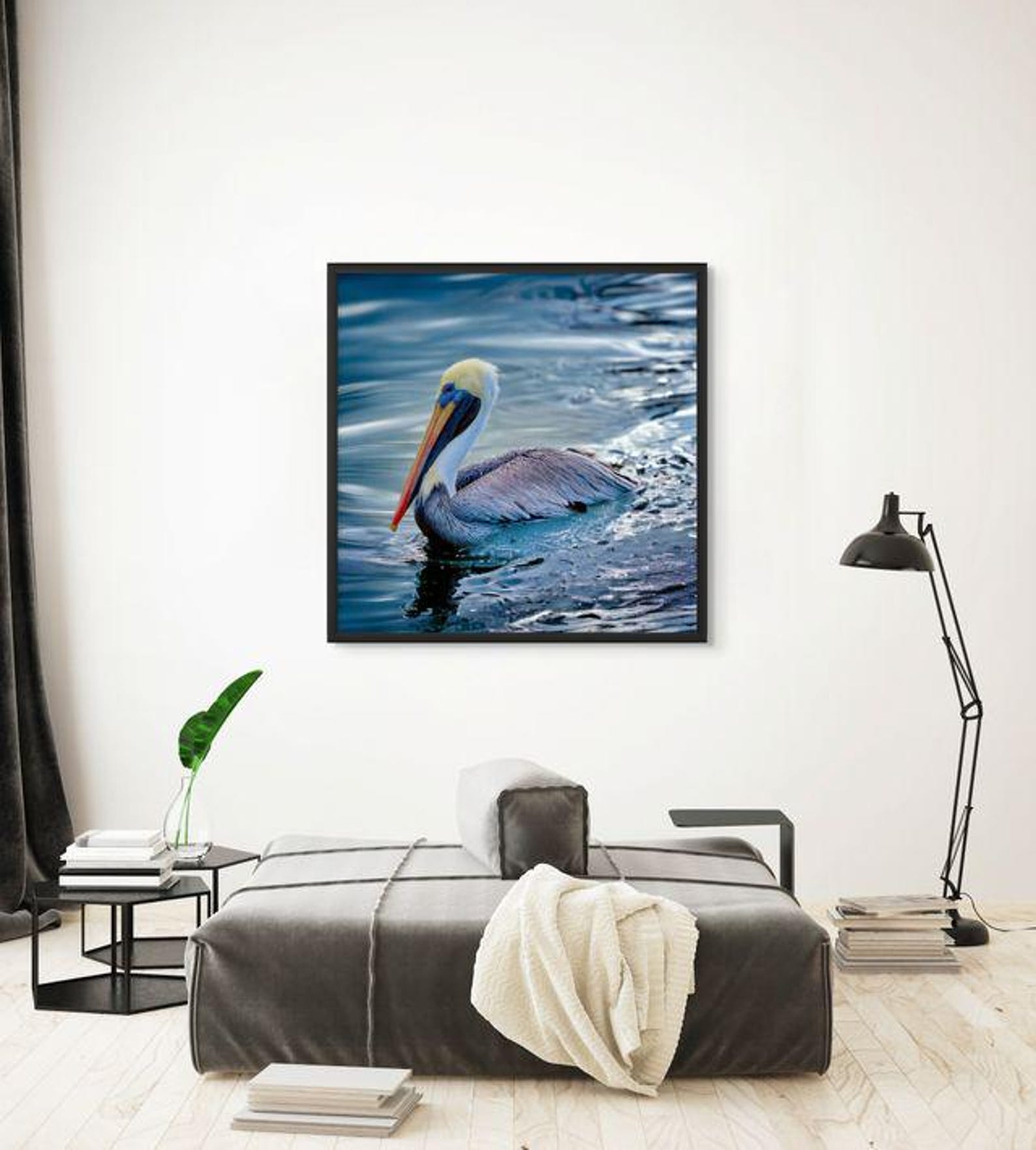Brown Pelican Swimming in Full Breeding Colors - Ocean Bird in Full ...