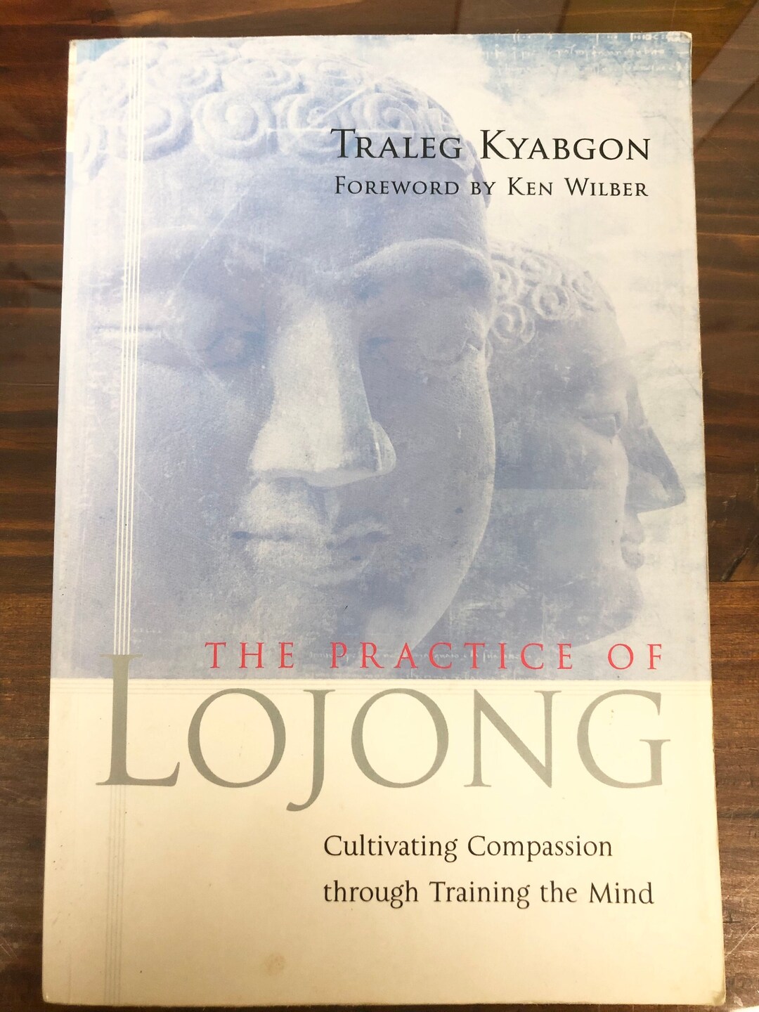The Practice of Lojong Traleg Kyabgon Rinpoche Used Like New Paperback ...