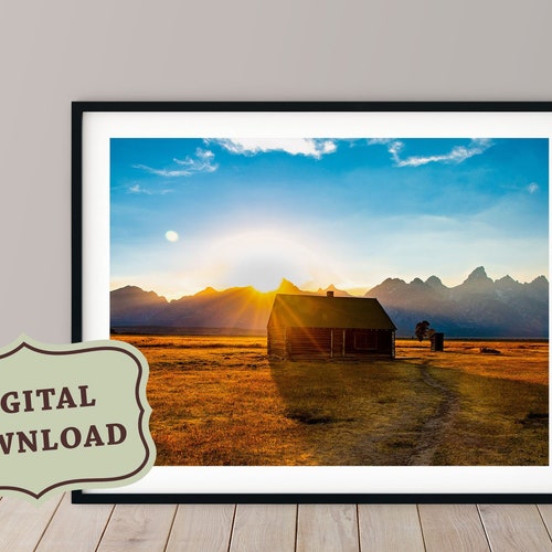Highland Cow Print Printable Wall Art Digital Download - Etsy