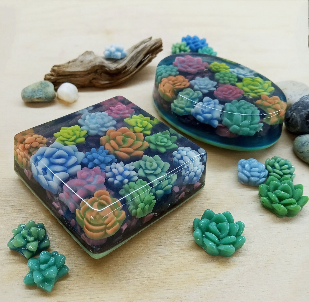 Succulent Soap, Luxury Soap, Natural Soap, Souvenir Soap, Decorative ...