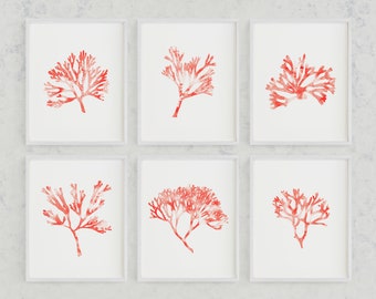 Red Coral Art - Etsy