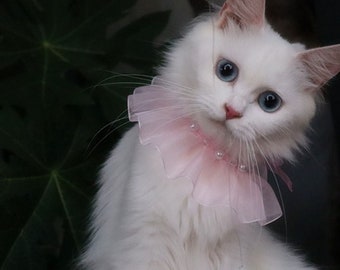 Cat Neck Ruff - Etsy