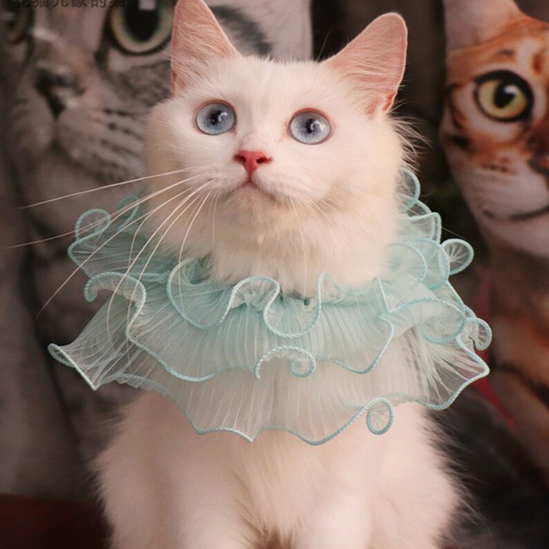 Mnknk Cat Collar Small Neck Ruff Pet Custom Renaissance - Etsy