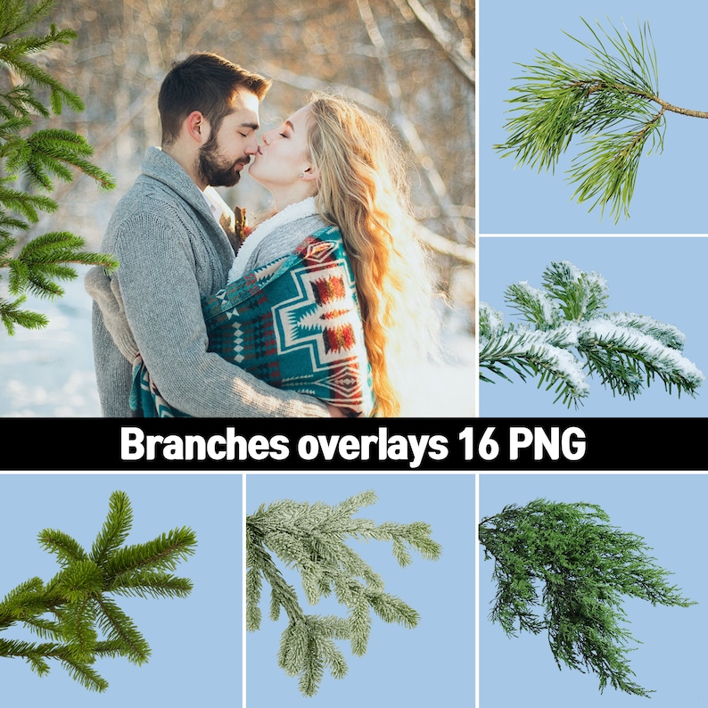 16 Winter Overlays, Christmas Tree Branch Overlays, Fir Overlay, Spruce ...