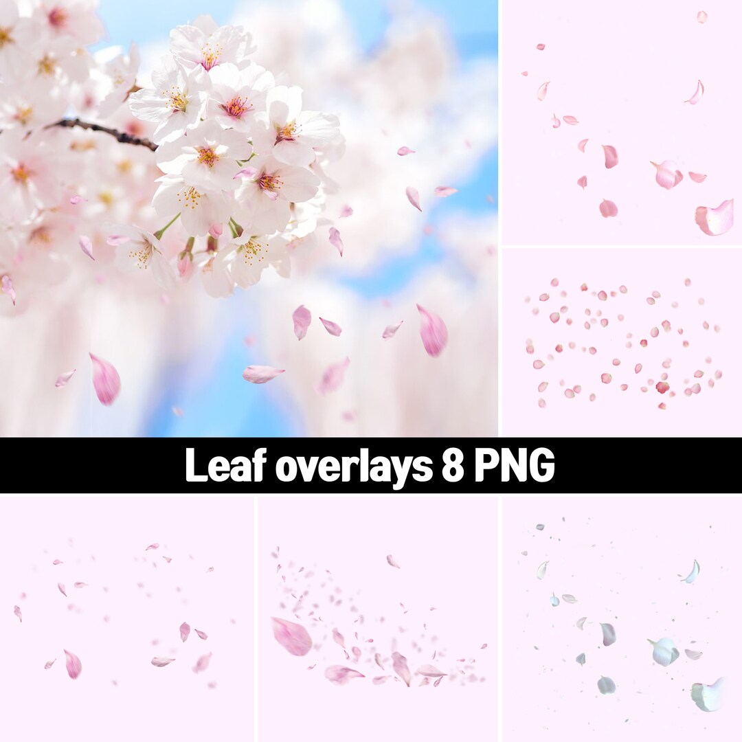 Pink Leaf Overlays, PNG, Photoshop Overlay, Photo Overlays - Etsy