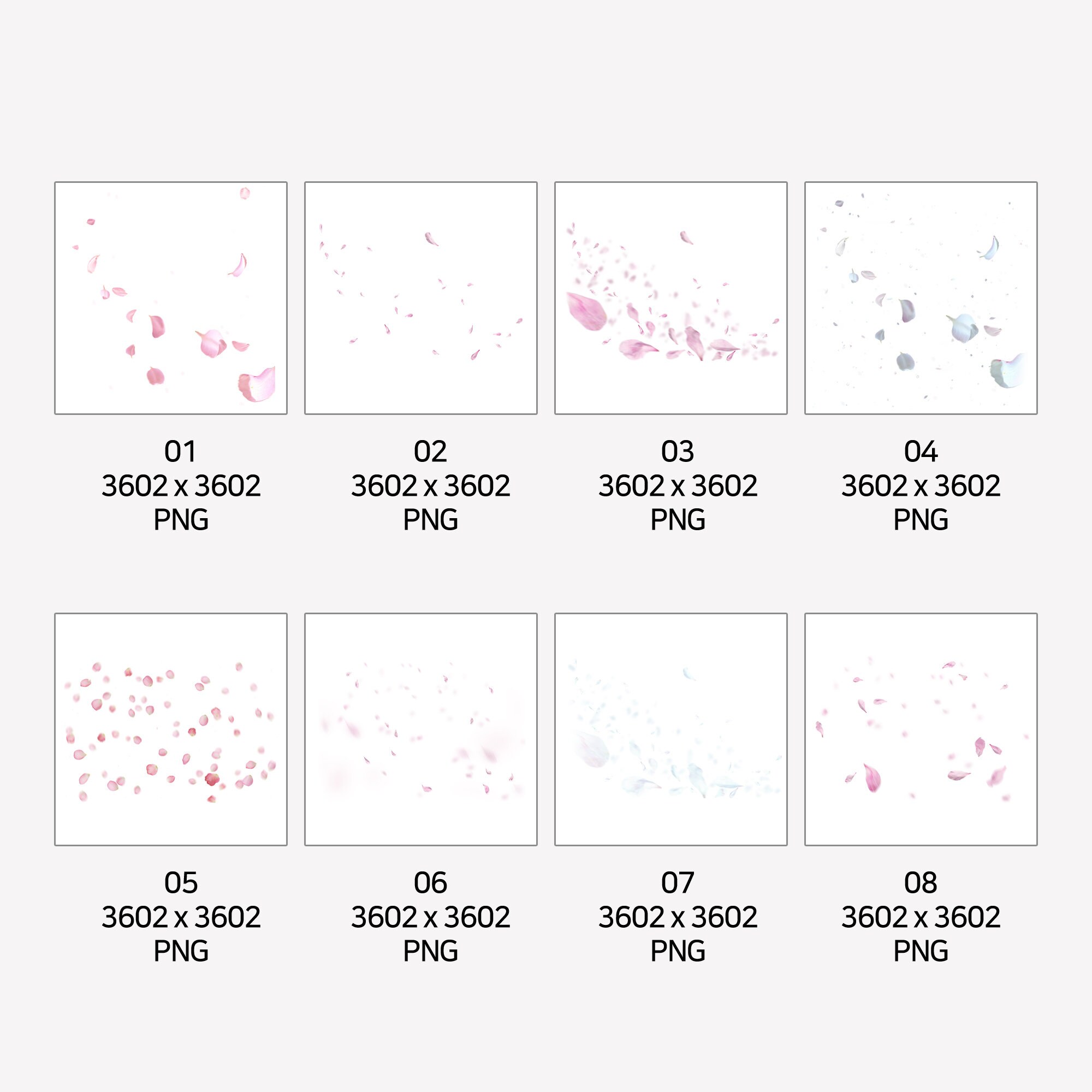 Pink Leaf Overlays, PNG, Photoshop Overlay, Photo Overlays - Etsy