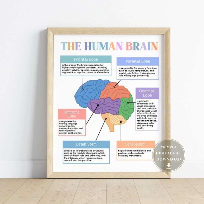 Psych Brain Poster - Etsy