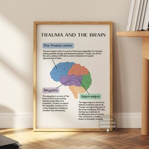 Trauma Poster Brain Anatomy Wall Art Psychologist Decor Psych Print ...