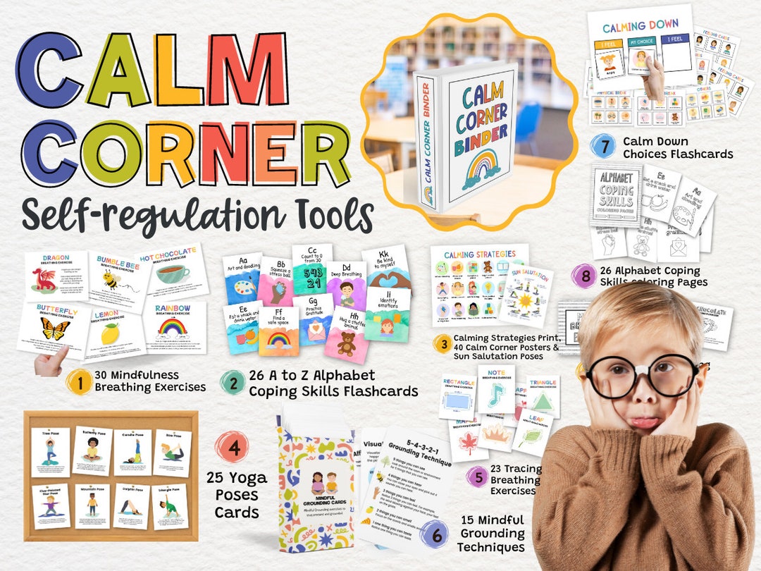 360 Emotional Regulation Kit Cards Toddler Poster Worksheet - Etsy