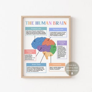 Brain Poster Psychology Office Decor Anatomy Wall Art Mental Health ...