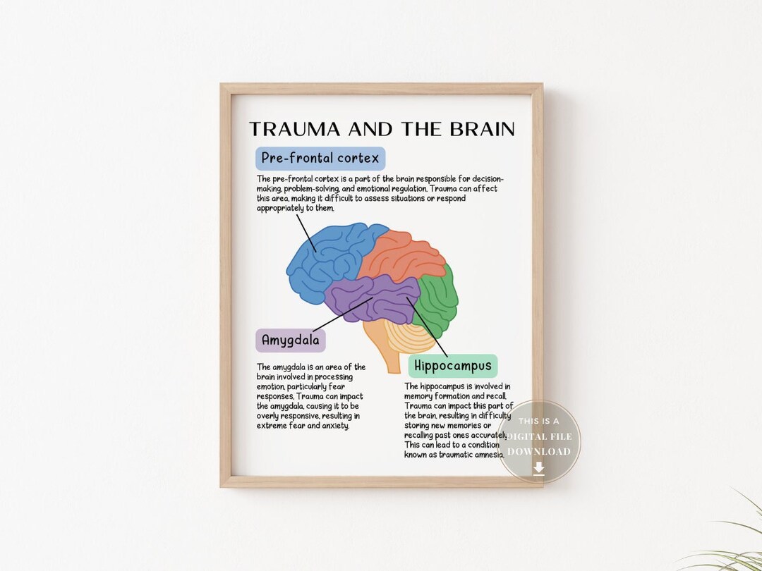 Trauma Poster Brain Anatomy Wall Art Psychologist Decor Psych Print ...