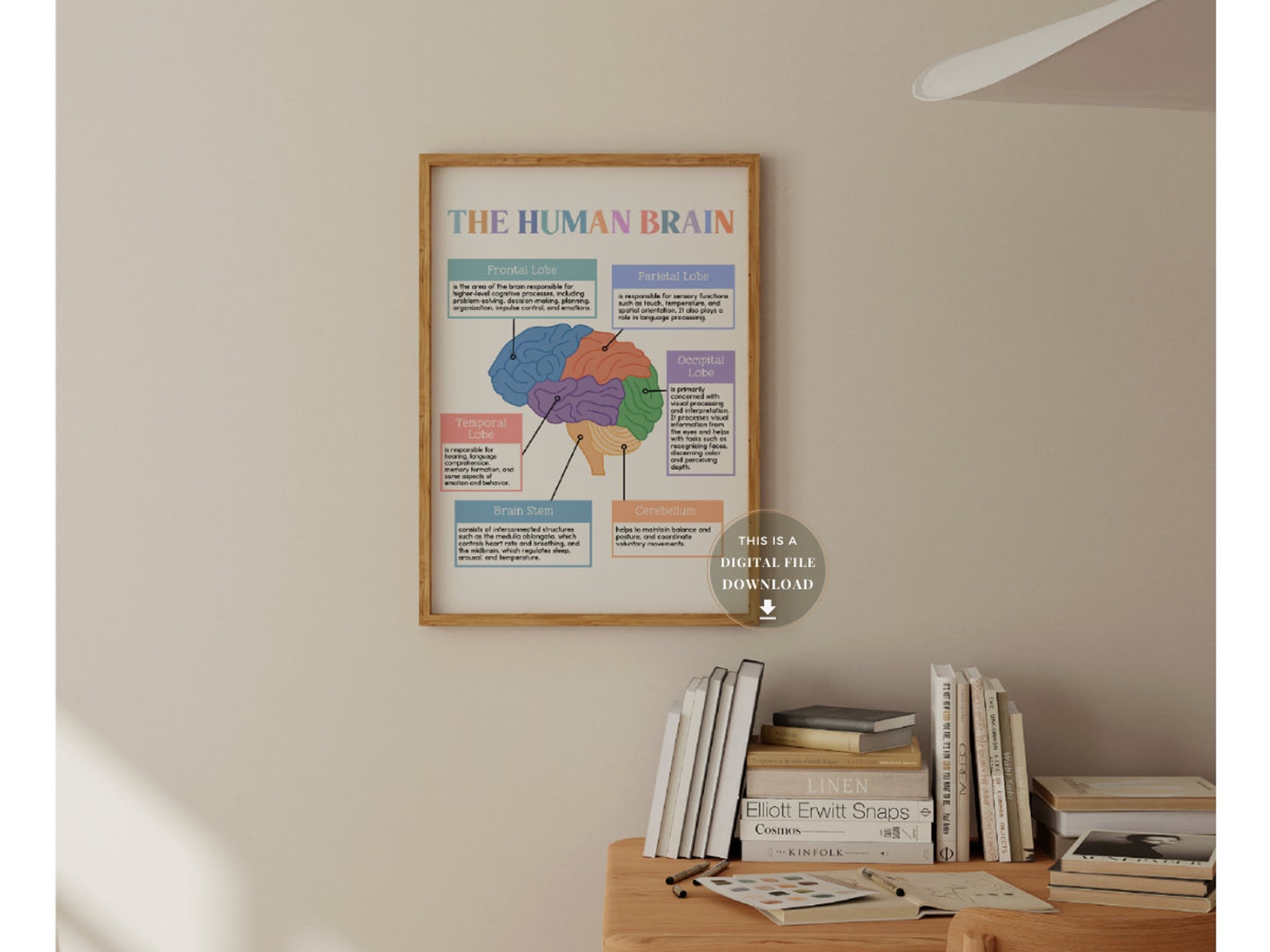 Brain Poster Psychology Office Decor Anatomy Wall Art Mental Health ...