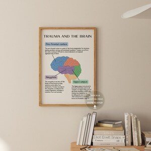 Trauma Poster Brain Anatomy Wall Art Psychologist Decor Psych Print ...