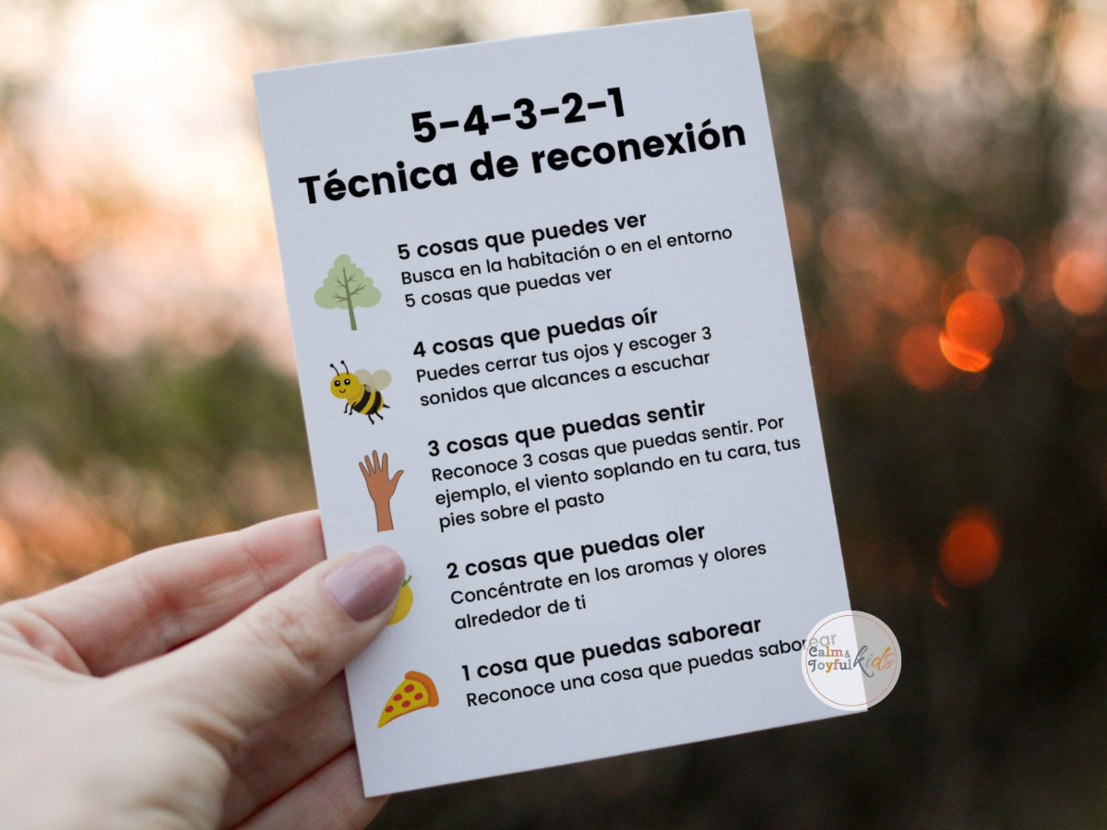 15 Spanish Anxiety Coping Skills Cards Grounding Technique - Etsy