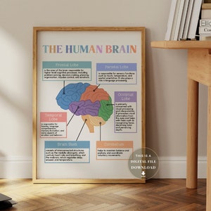Brain Poster Psychology Office Decor Anatomy Wall Art Mental Health ...