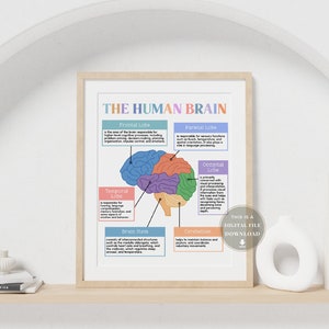 Brain Poster Psychology Office Decor Anatomy Wall Art Mental Health ...