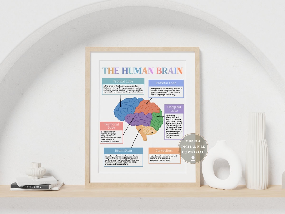 Brain Poster Psychology Office Decor Anatomy Wall Art Mental Health ...