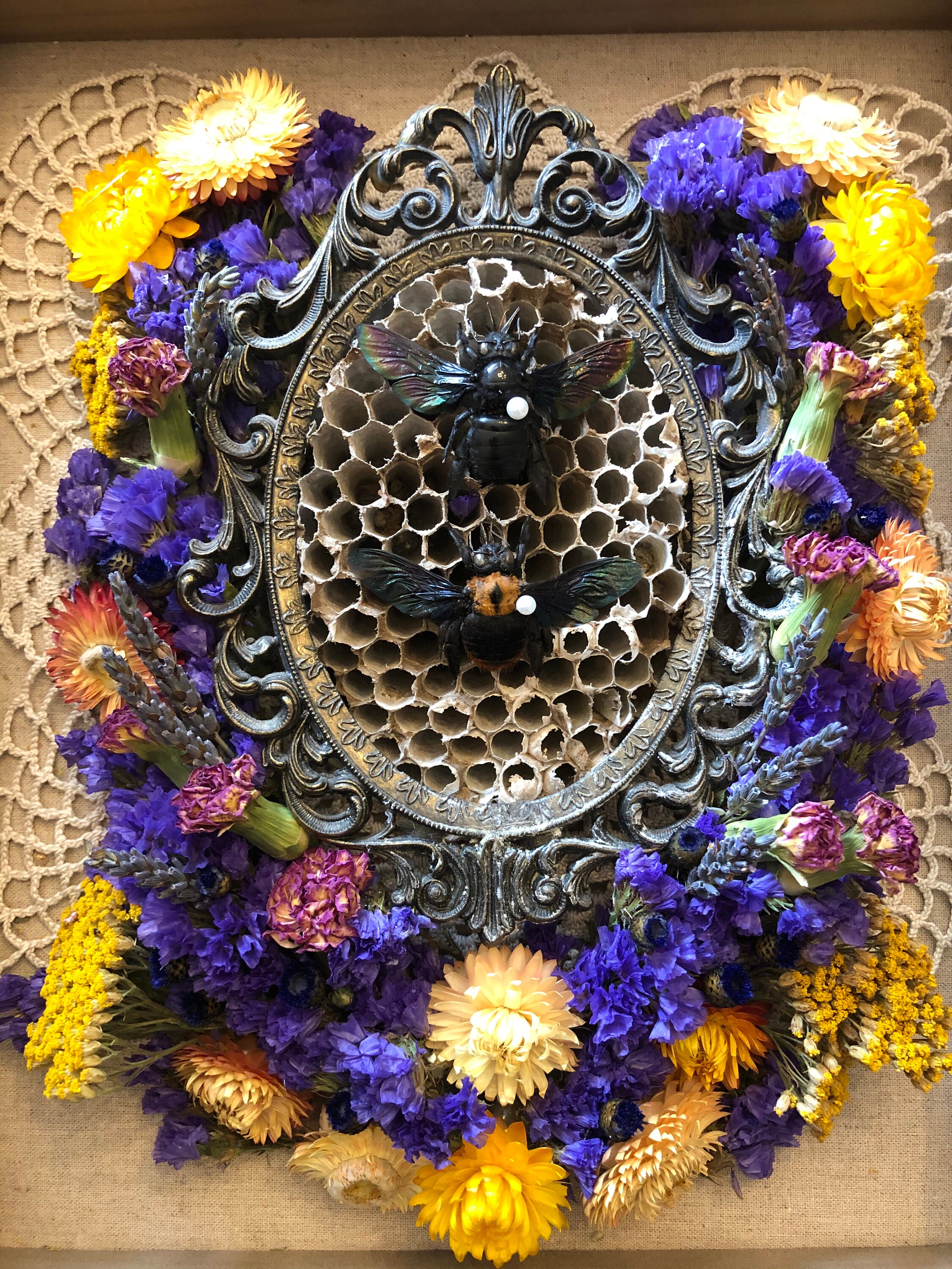 Carpenter Bee Shadowbox - Etsy