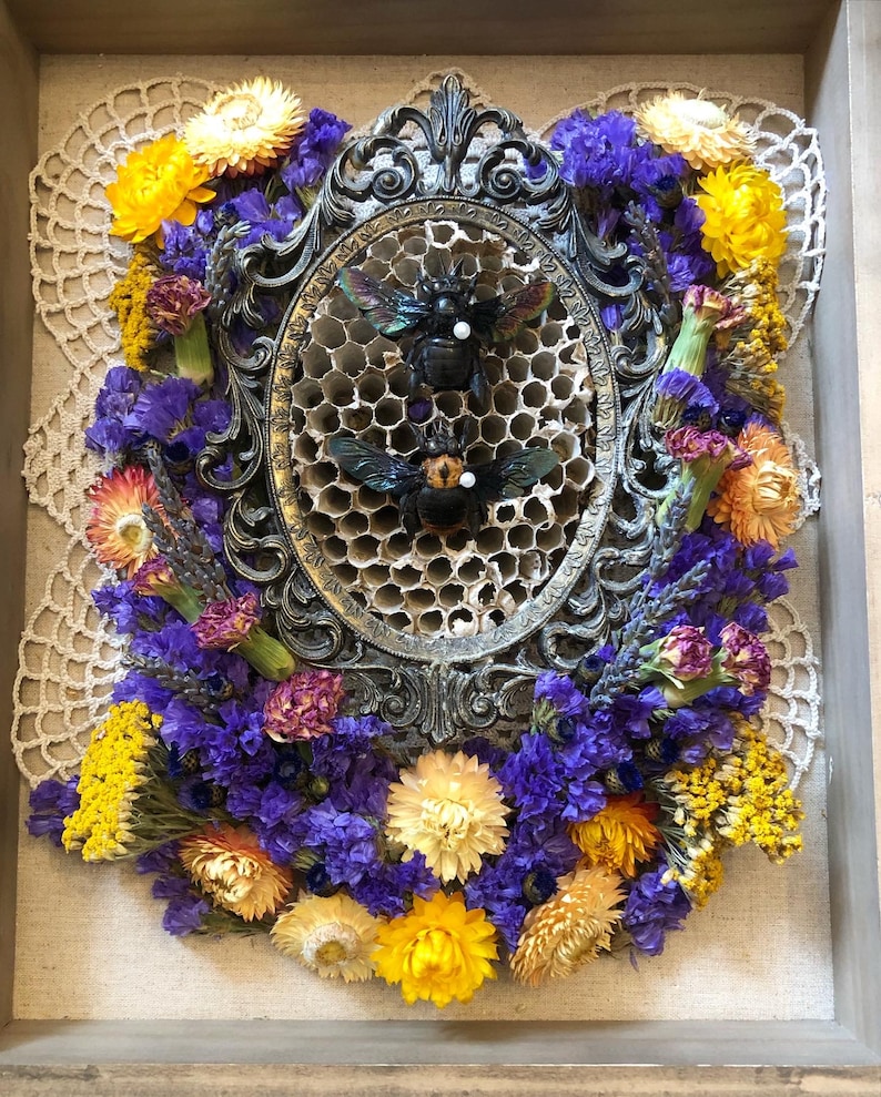 Carpenter Bee Shadowbox - Etsy