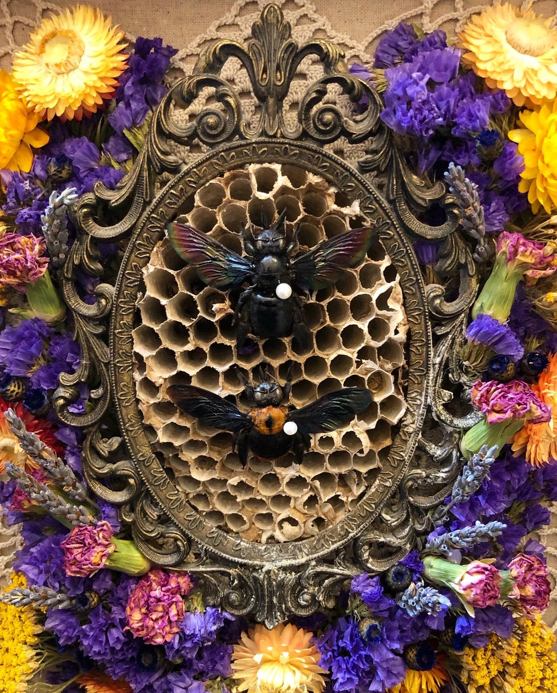 Carpenter Bee Shadowbox - Etsy