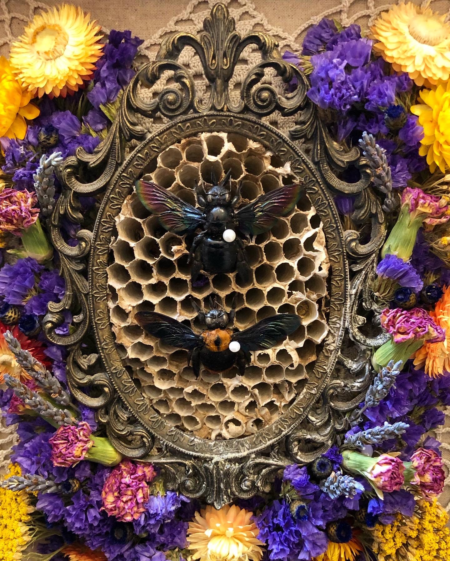 Carpenter Bee Shadowbox - Etsy