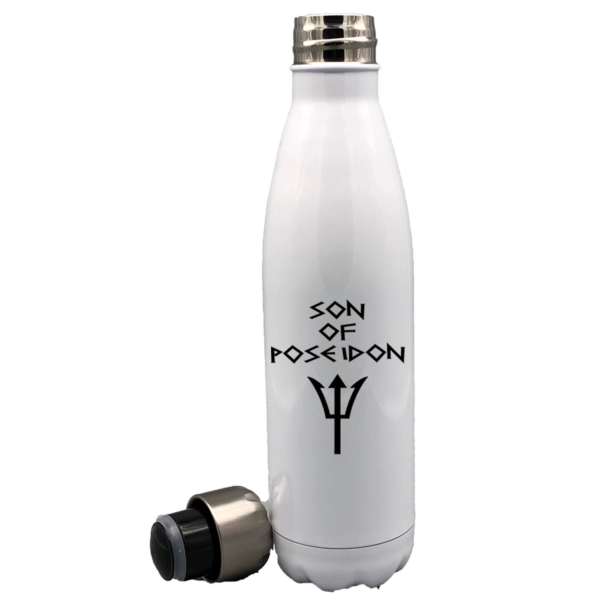 Daughter or Son of Poseidon Stainless Steel Insulated Water Bottle ...