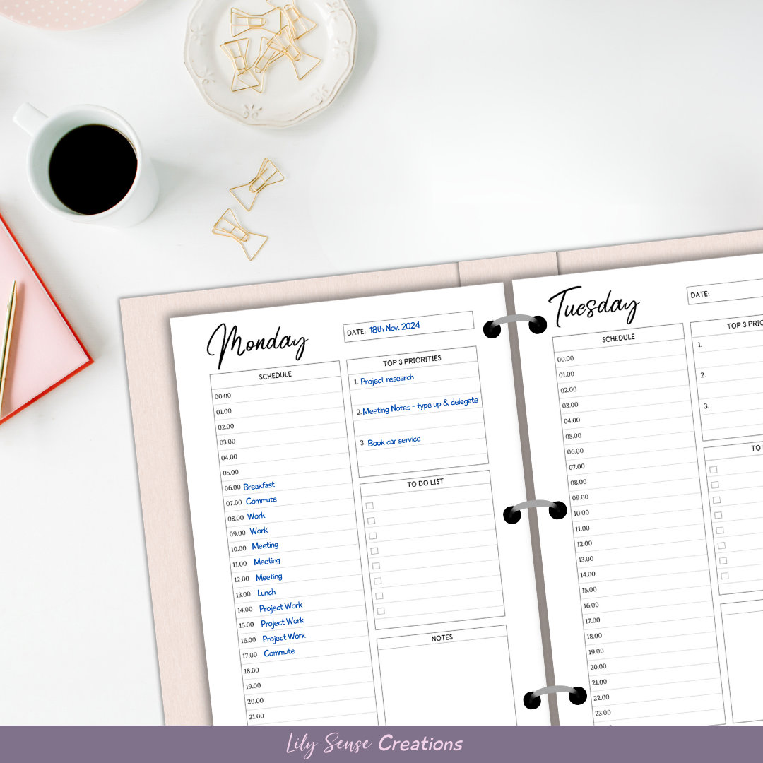 Hourly Daily Planner, Printable Weekly Schedule, Productivity Tracker ...