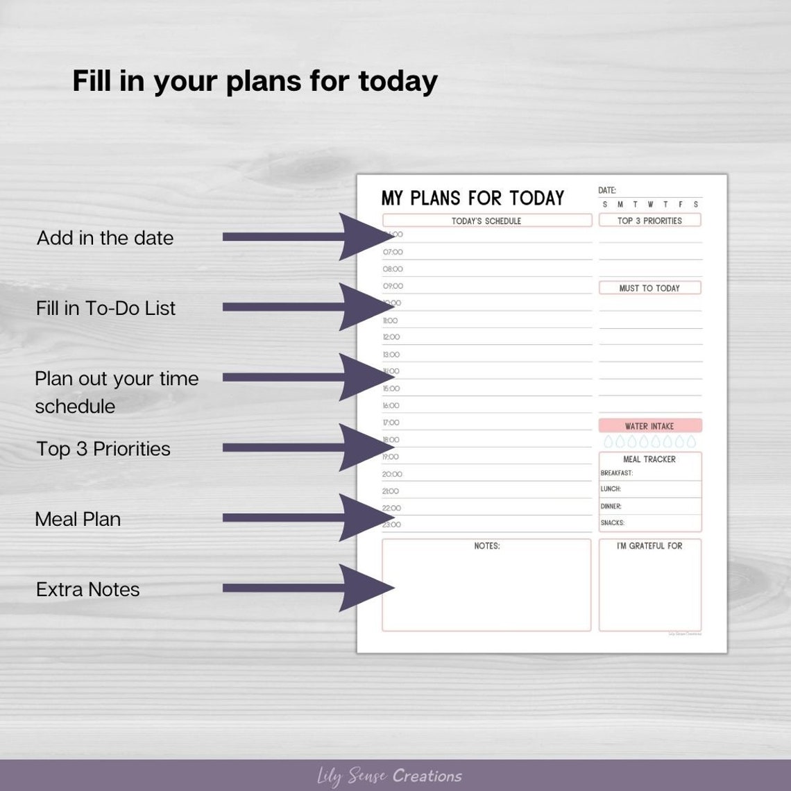 Undated Daily Printable Planner, My Plans for Today Planner Sheet ...