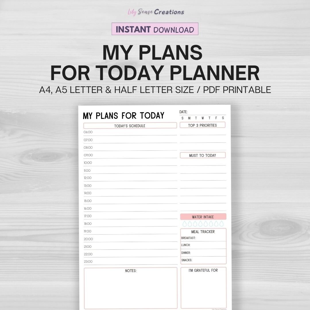 Undated Daily Printable Planner, My Plans for Today Planner Sheet ...